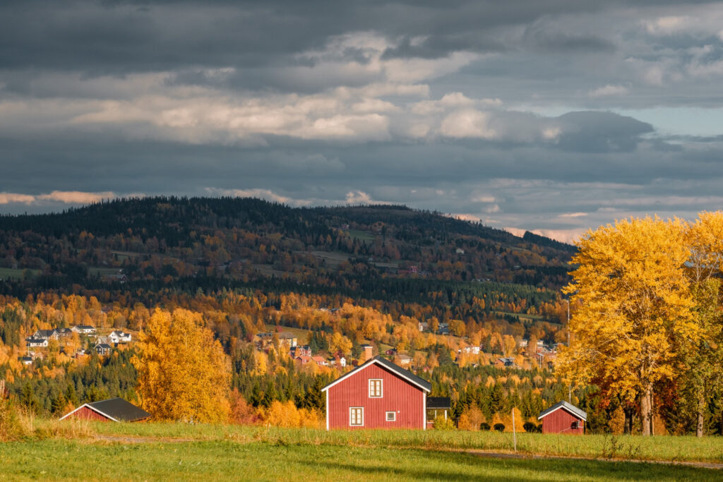 RURAL COMMUNITY UPCOMING EVENTS - Calgary Catholic Immigration Society